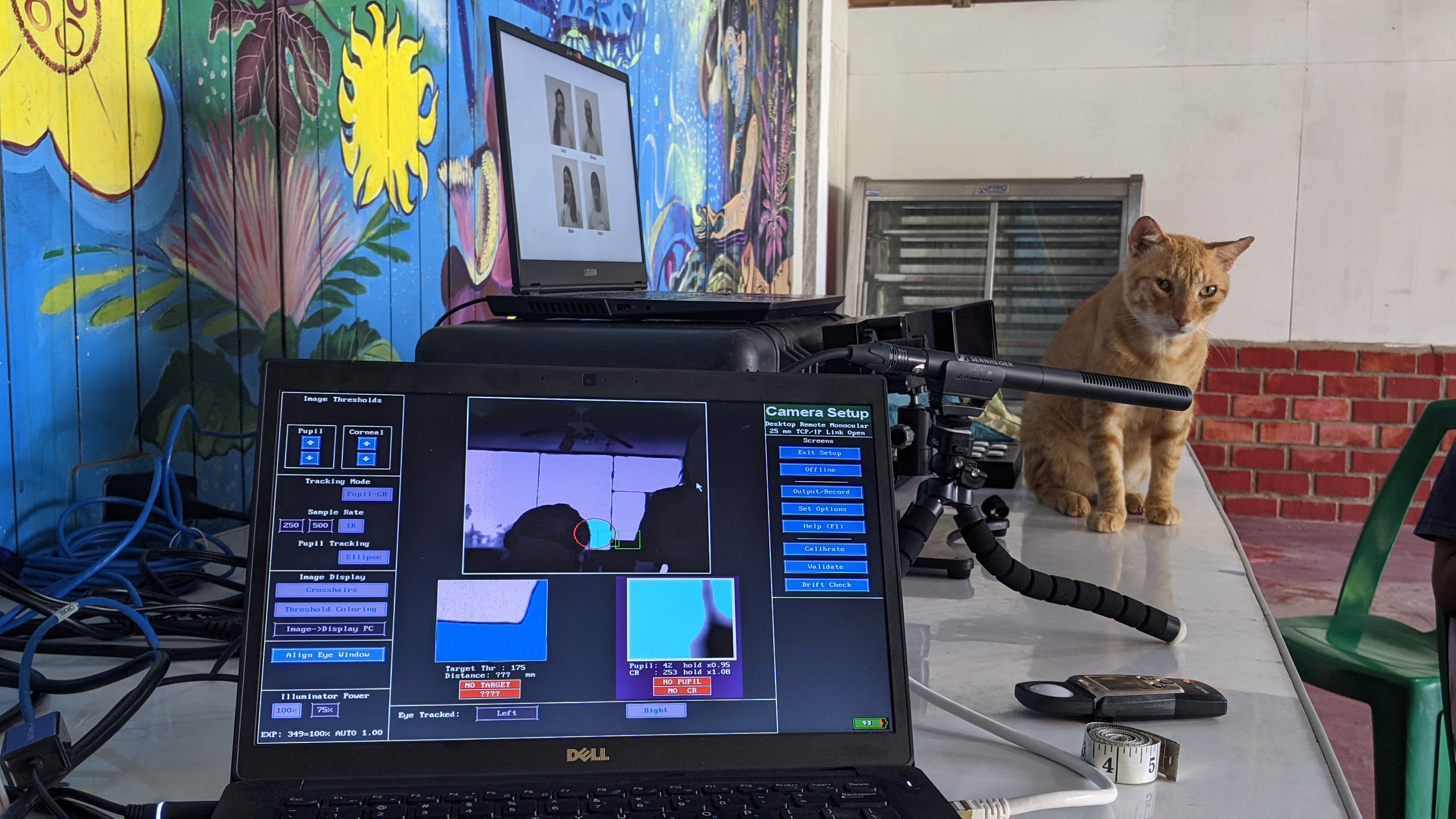 Ergativity In Shipibo – Caroline Andrews